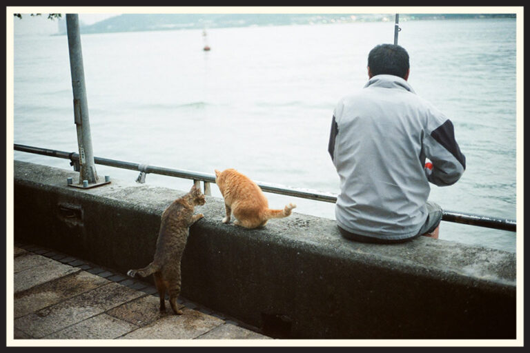 Kodak Ultramax 400 - 10 Reasons to Shoot + 50 Sample Photos