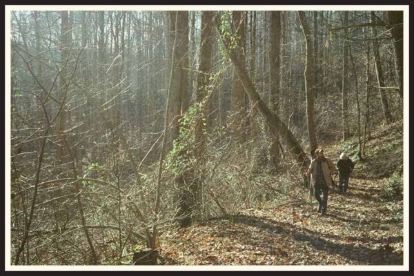 Cinestill Film - Tips, Tricks, and Sample Photos