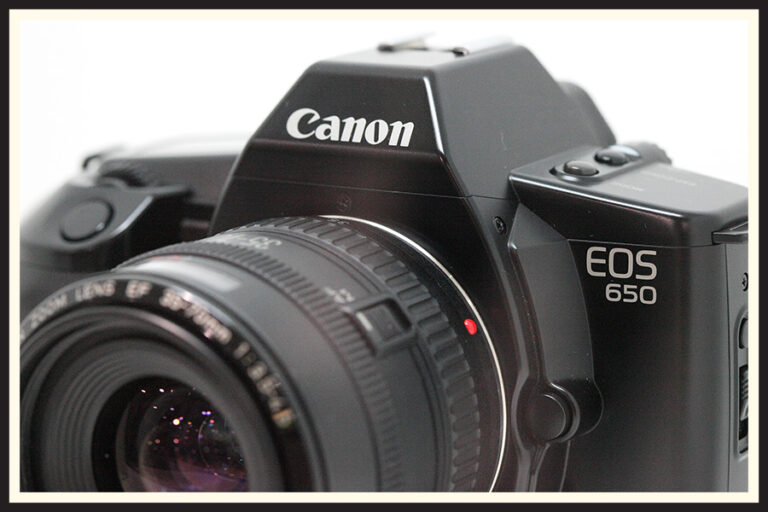 Best SLR Film Cameras? Comparing the Most Popular Models