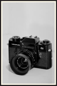 Best SLR Film Cameras? Comparing the Most Popular Models