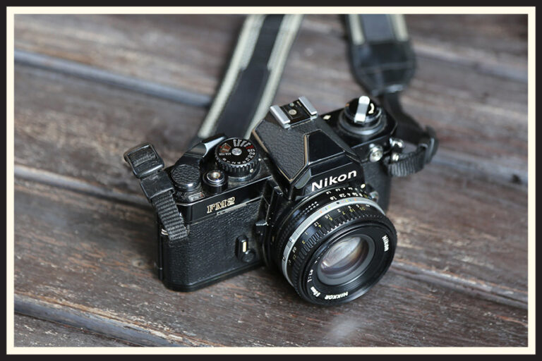 Best SLR Film Cameras? Comparing the Most Popular Models