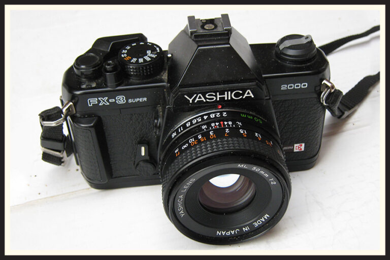 Best SLR Film Cameras? Comparing the Most Popular Models