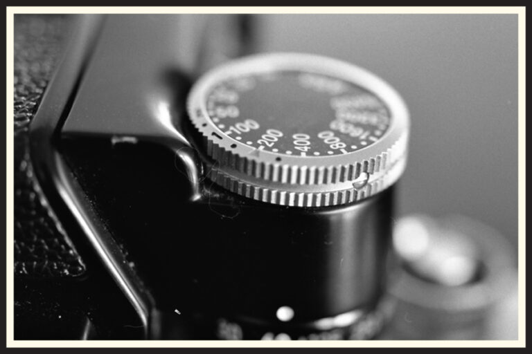 Film Speed vs ISO - What's the Difference?