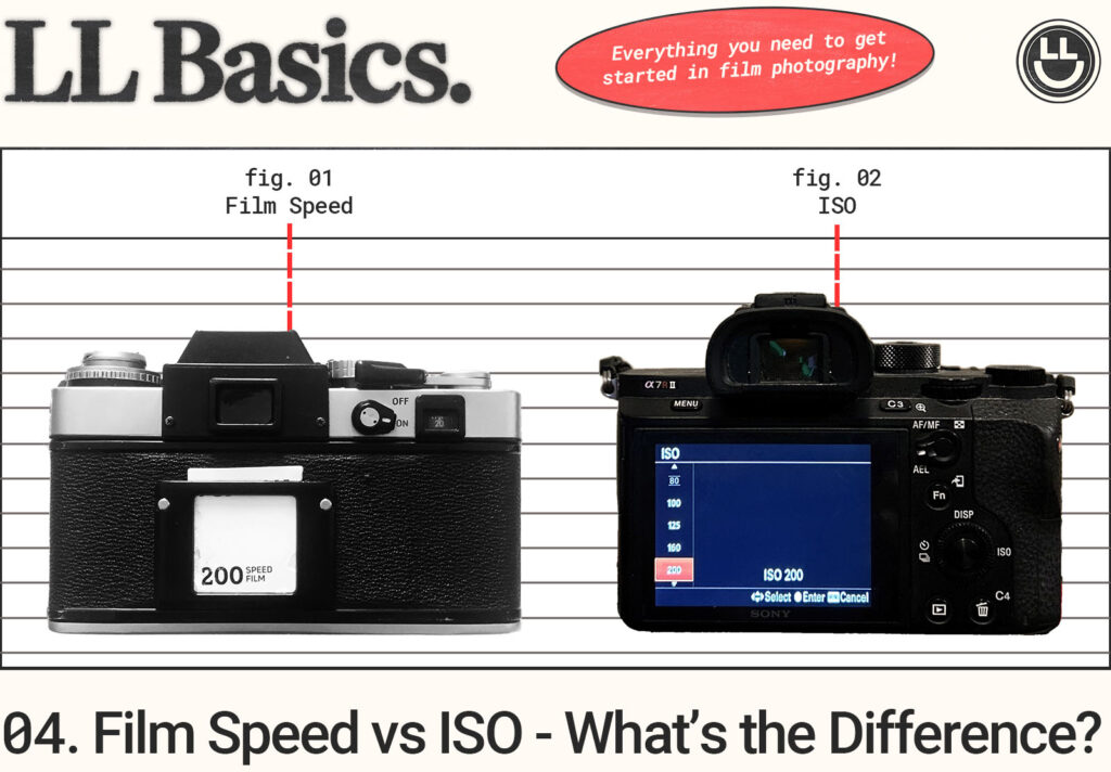 Film Speed Vs ISO What s The Difference Film Speed Vs ISO What s The Difference