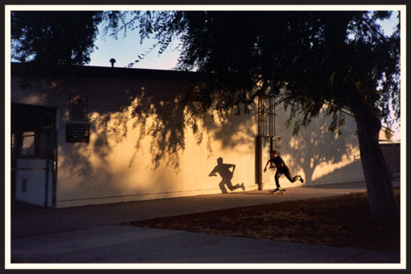 Pros & Cons of Kodak Gold 200 with 50+ Sample Photos