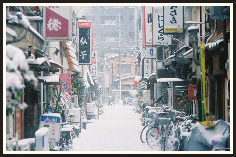 Pros & Cons of Kodak Gold 200 with 50+ Sample Photos