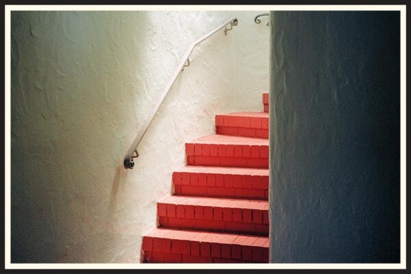 Pros & Cons of Kodak Gold 200 with 50+ Sample Photos