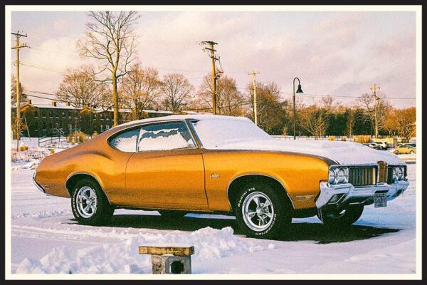 Pros & Cons of Kodak Gold 200 with 50+ Sample Photos