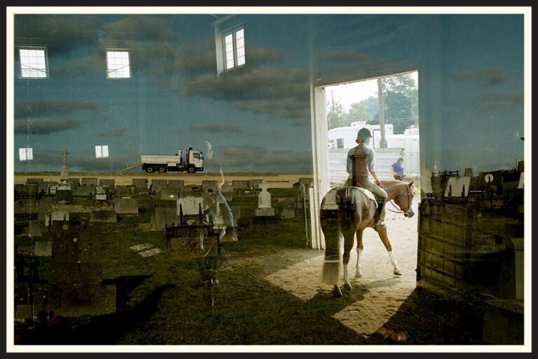 Pros & Cons of Kodak Gold 200 with 50+ Sample Photos