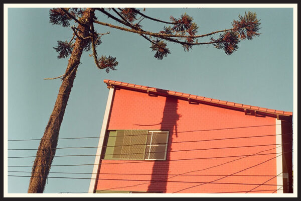 Kodak Colorplus 200 - Review + 50 Sample Photos - Lens Lurker