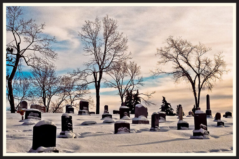 Kodak Portra 800 - Pros & Cons + 50 Sample Photos - Lens Lurker