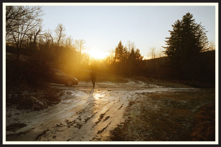 Kodak Portra 800 - Pros & Cons + 50 Sample Photos - Lens Lurker